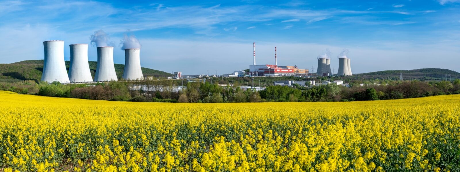 Nuclear Life Extension | Celeros Flow Technology