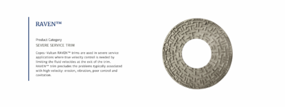 RAVEN™ | Celeros Flow Technology